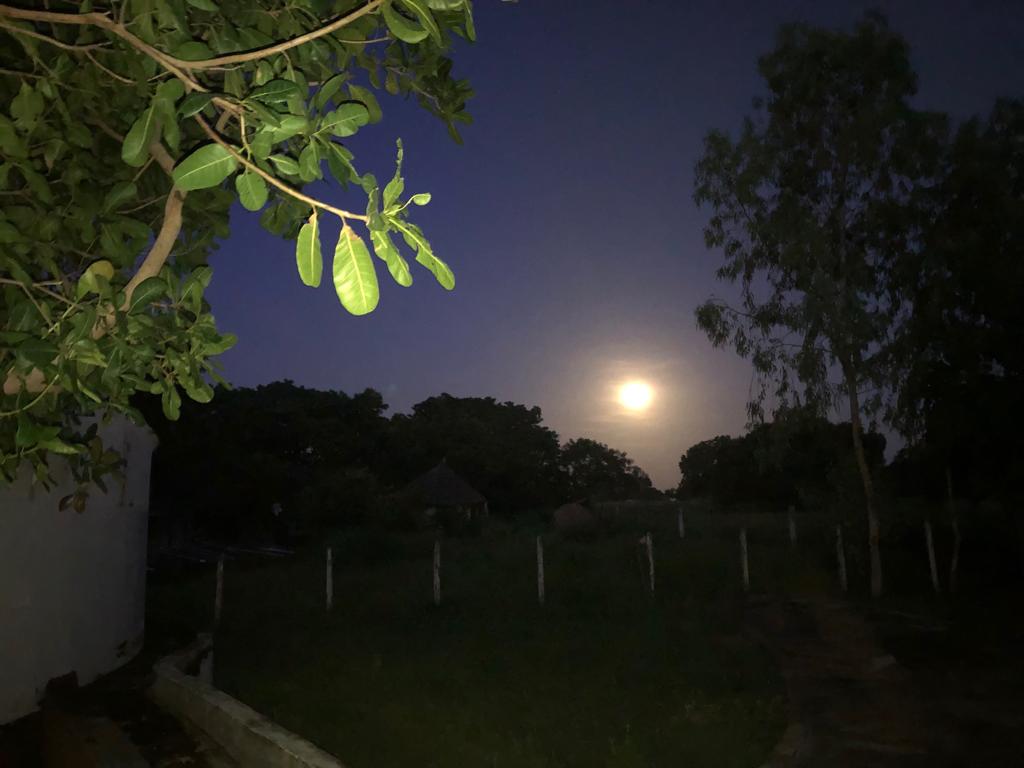 Artist Ryan Cronin Selected to Attend Thread Residency in Senegal